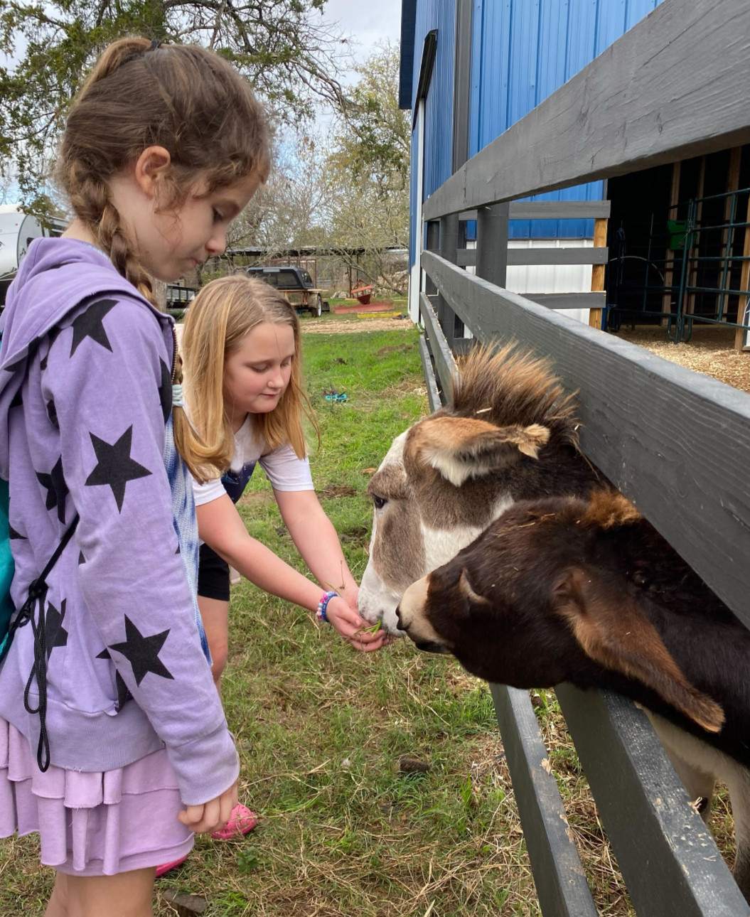 Farm and Forest Roots | Earth Native School