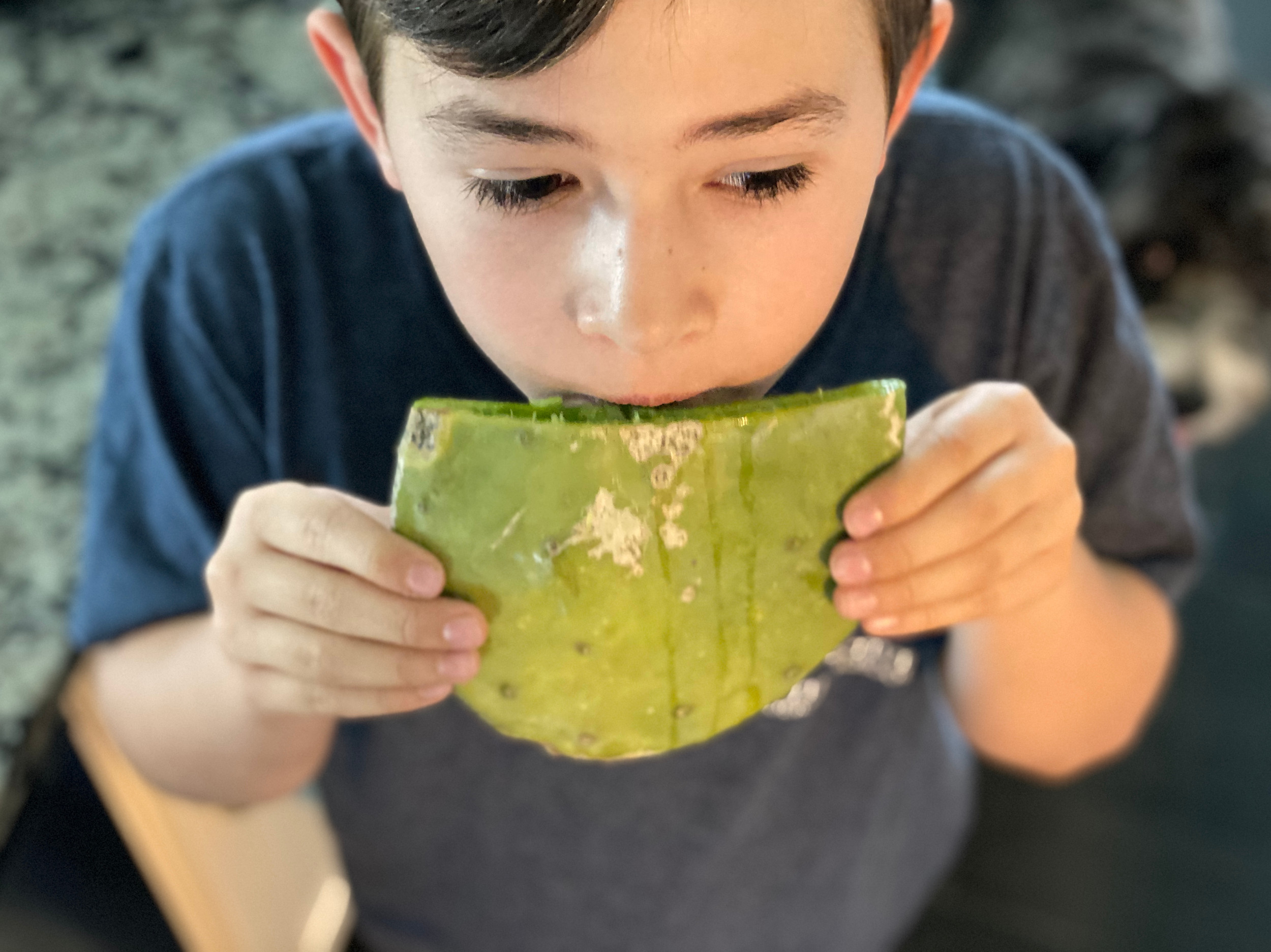 Natural Containers | Earth Native School