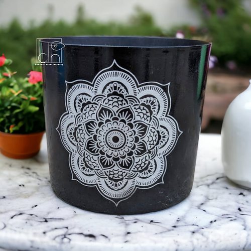 Metalic designer pot | ChennaiPlantNursery