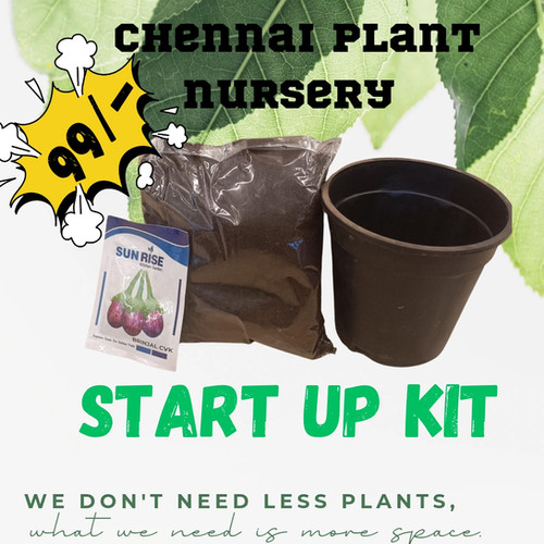 Start up kit | ChennaiPlantNursery