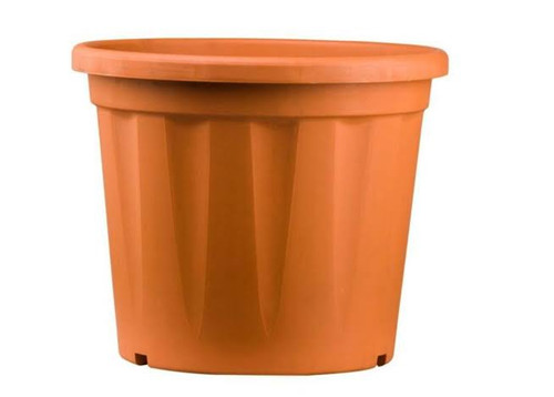 Basic Nursery Plastic Pot Brown ChennaiPlantNursery Basic Nursery Plastic Pot Brown ChennaiPlantNursery