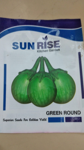 Green round | ChennaiPlantNursery