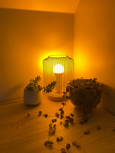 Zero Blue Light Bulb | Emfshop