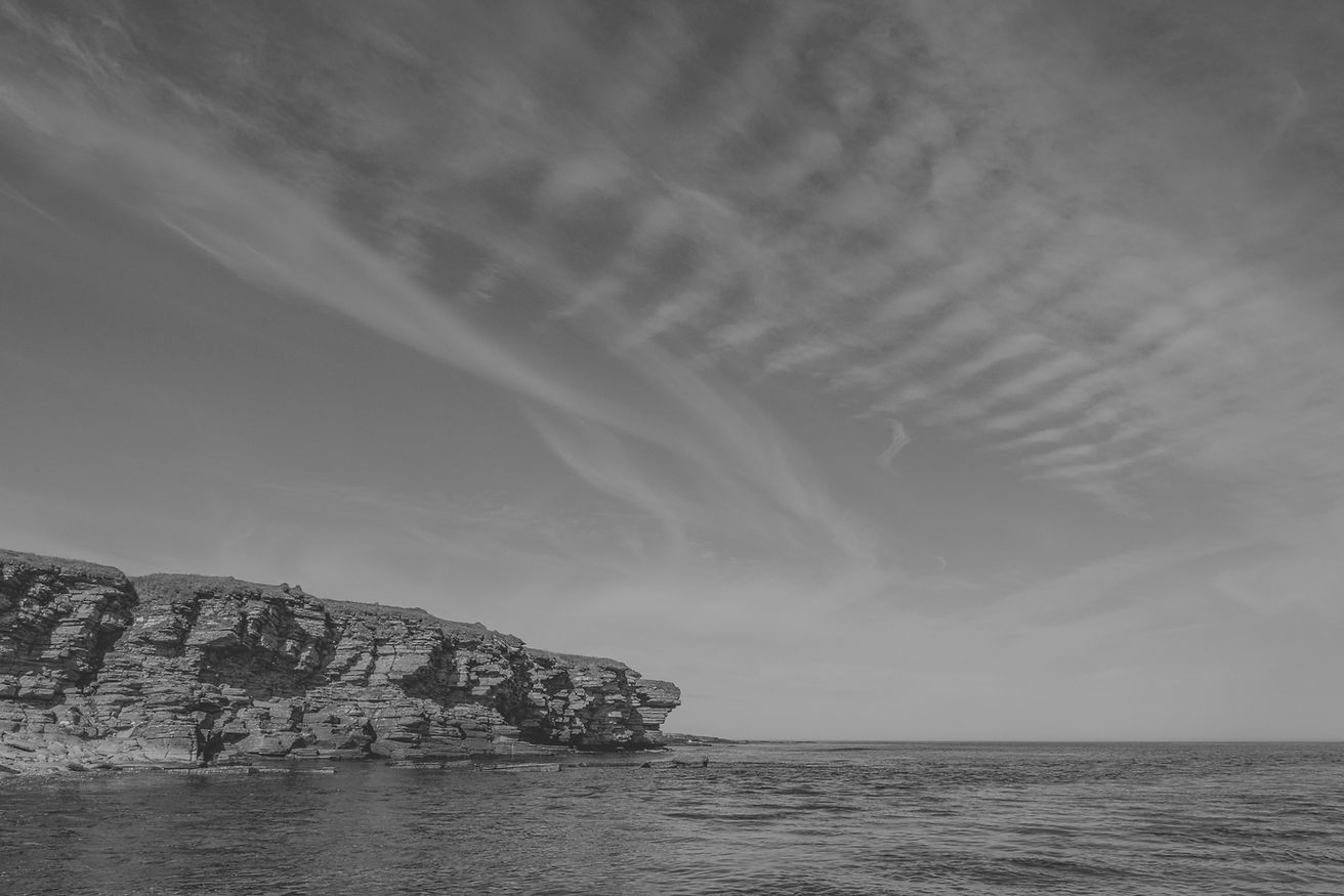 HOME | NORTH POINT DISTILLERY