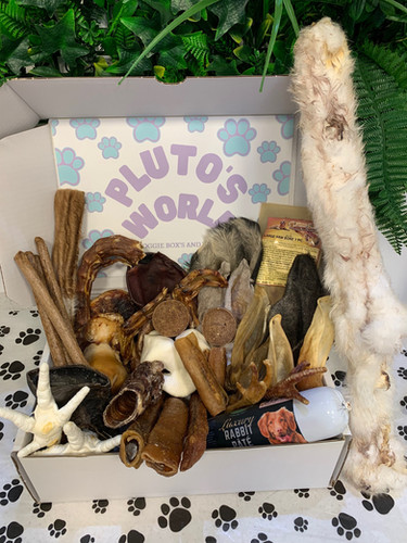 Pluto's Deluxe Box | Pluto's World