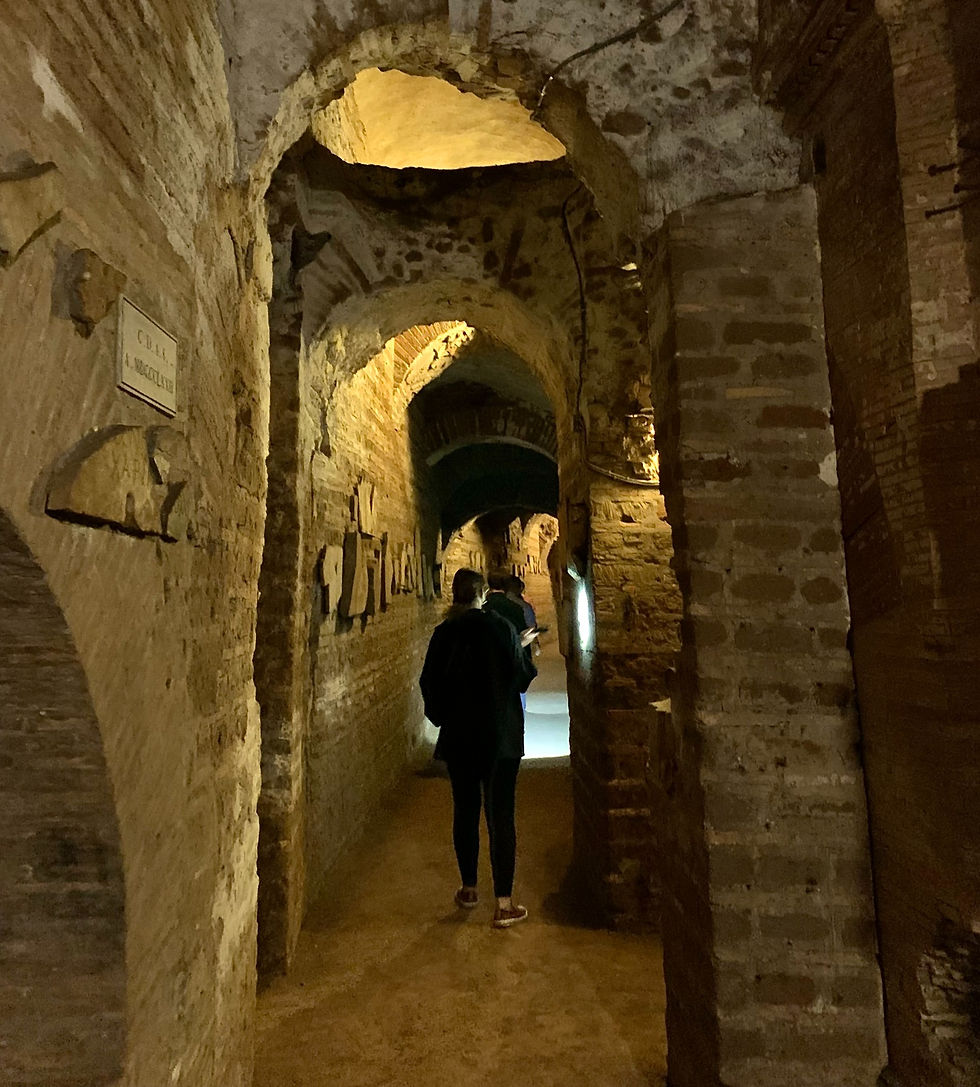 Roma Catacombs: Explore the Underground Crypts of Rome!