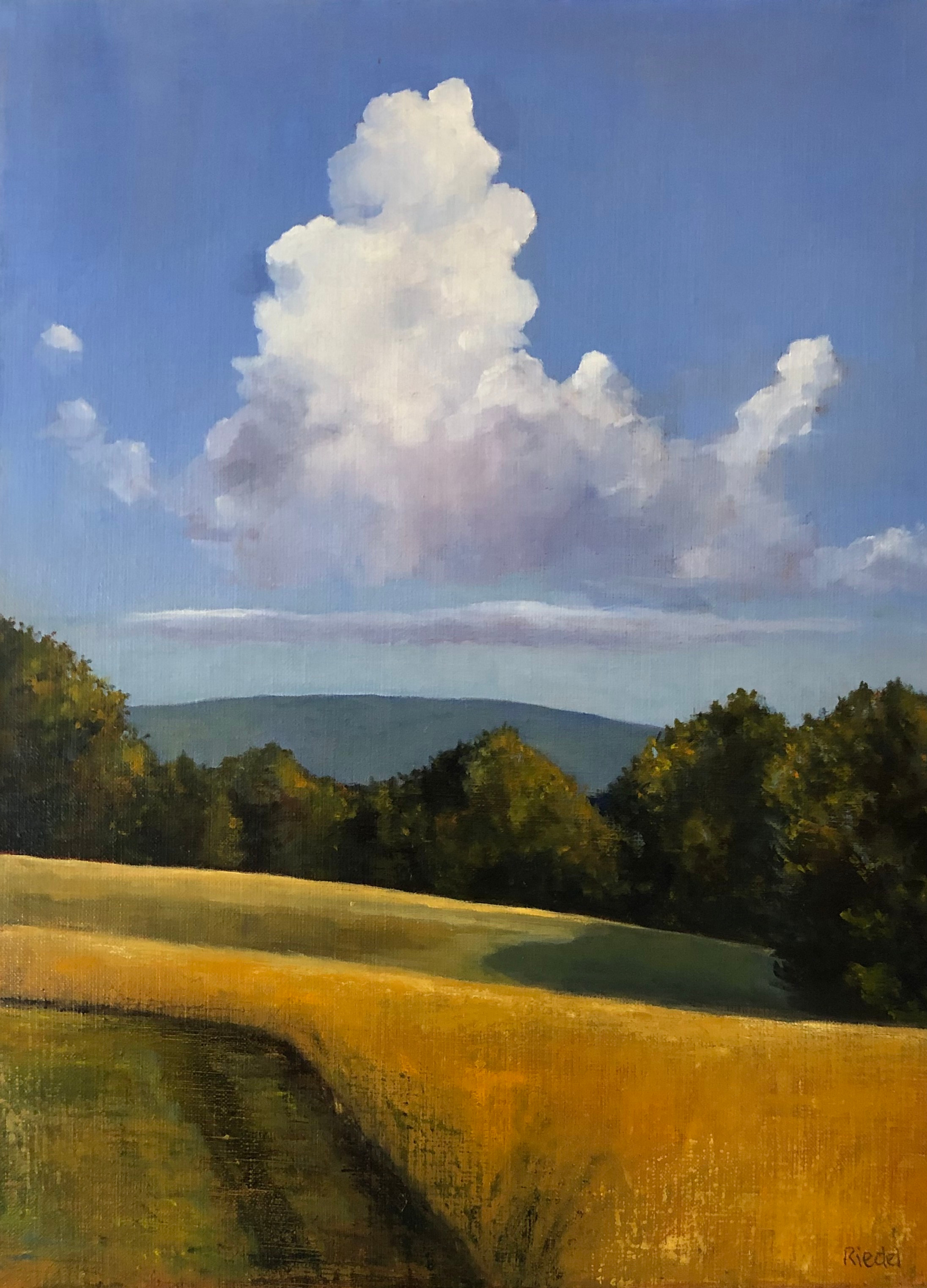 Katherine Riedel | Art of the Piedmont