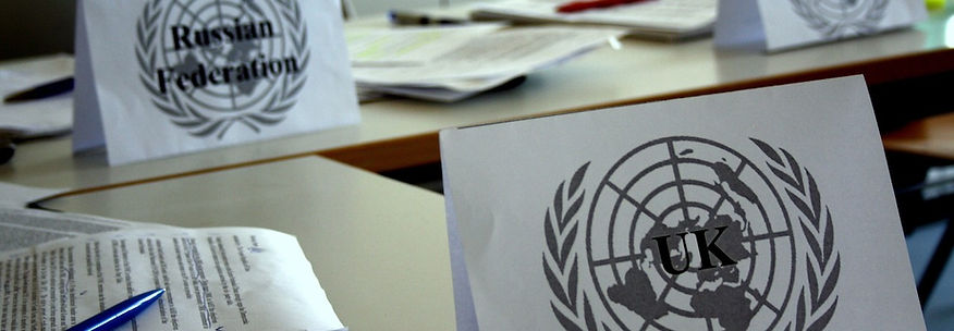 Position Paper Guide To Writing | WSHSMUN