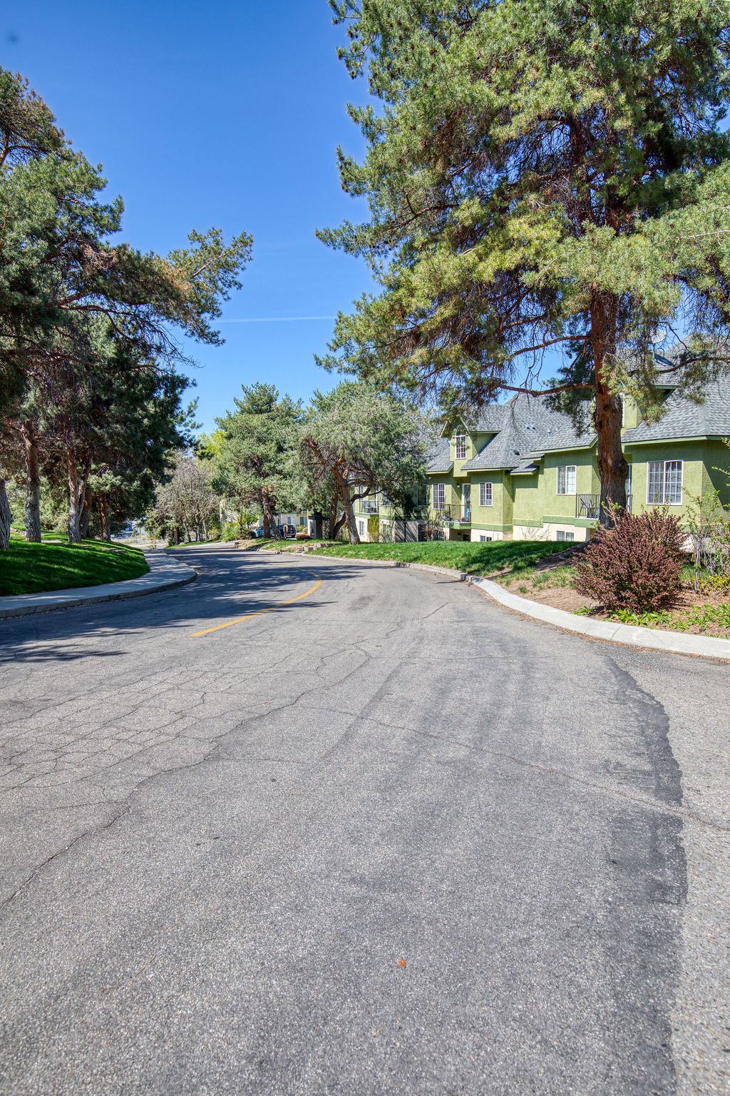 Camels Back 1406-132