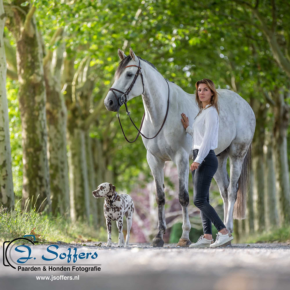 Fotoshoot Paard en Hond in Matching Colors