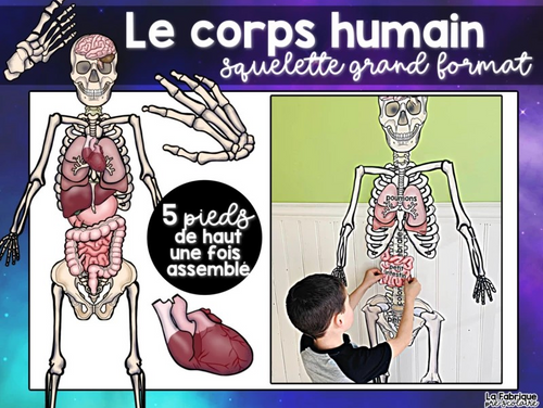 Squelette géant à assembler | La Fabrique Préscolaire
