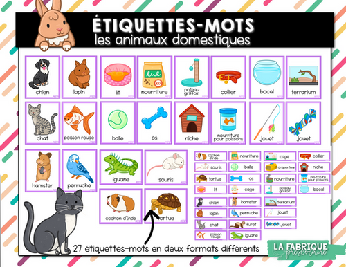 Vocabulaire les animaux domestiques | La Fabrique Préscolaire