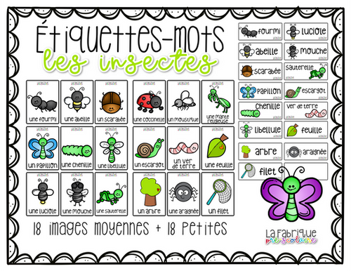 Vocabulaire les insectes | La Fabrique Préscolaire