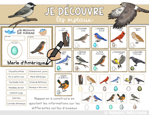 Je découvre les oiseaux | La Fabrique Préscolaire