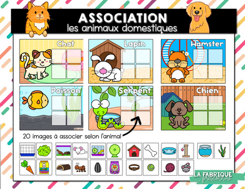 Associe les images aux animaux domestiques | La Fabrique Préscolaire