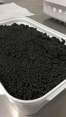 American Paddlefish Caviar 1lb | indiancreekcaviar