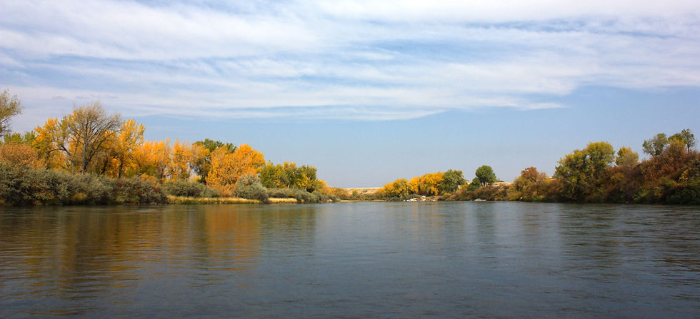 Bighorn River Alliance | Protect Preserve Enhance | Montana