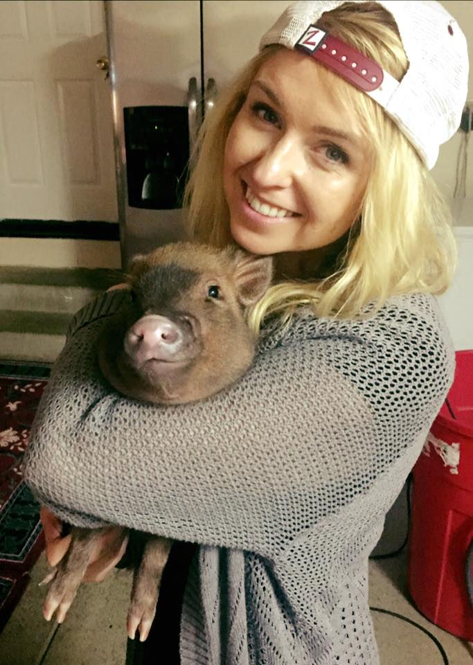 Mini pigs for sale | San Diego California | SoCalMiniPigs.com | adopt a pig