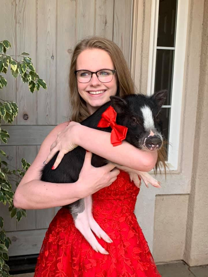 Mini pigs for sale | San Diego California | SoCalMiniPigs.com | adopt a pig