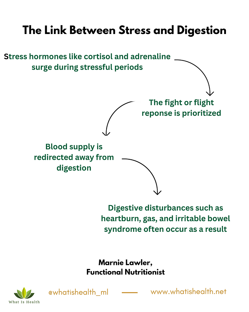The Link Between Stress and Your Gut