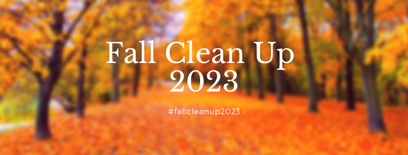 Fall Clean Up 2023 | What Is Health