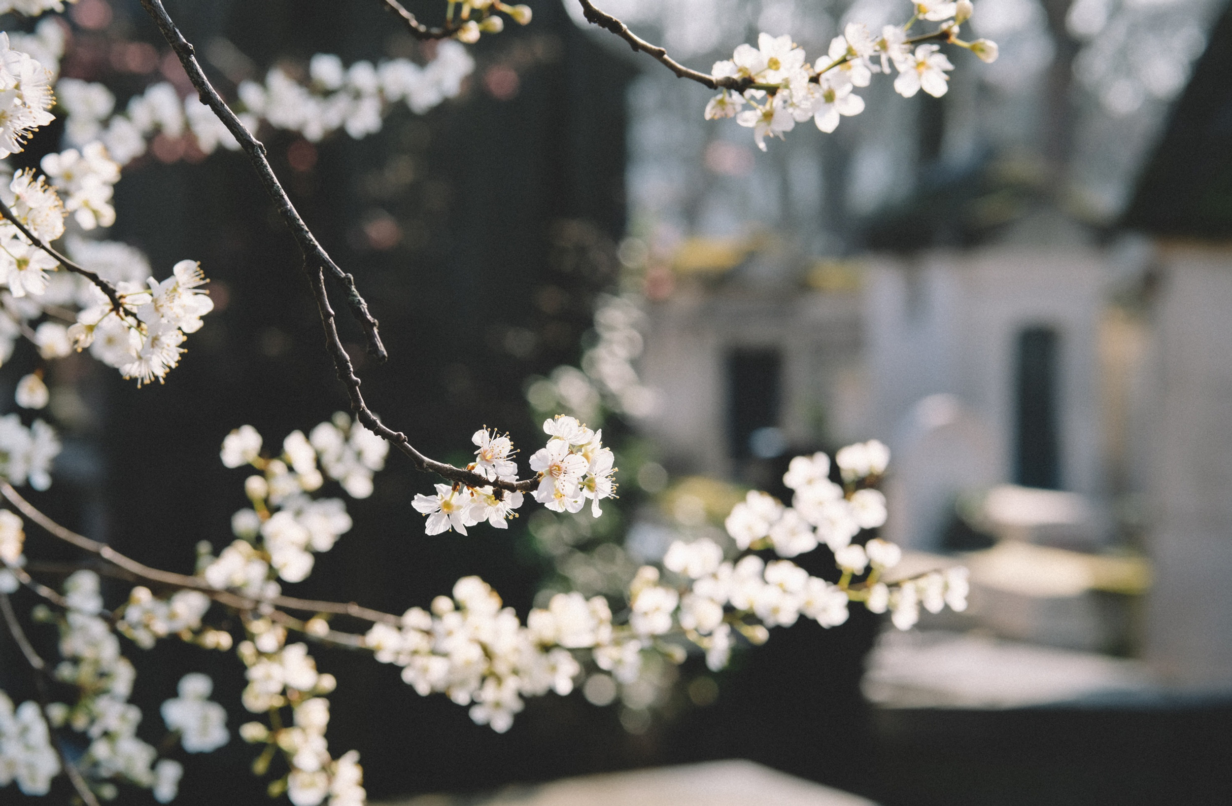 Kathy Pearson, MPA, PA-C | Regional Medical Oncology Center