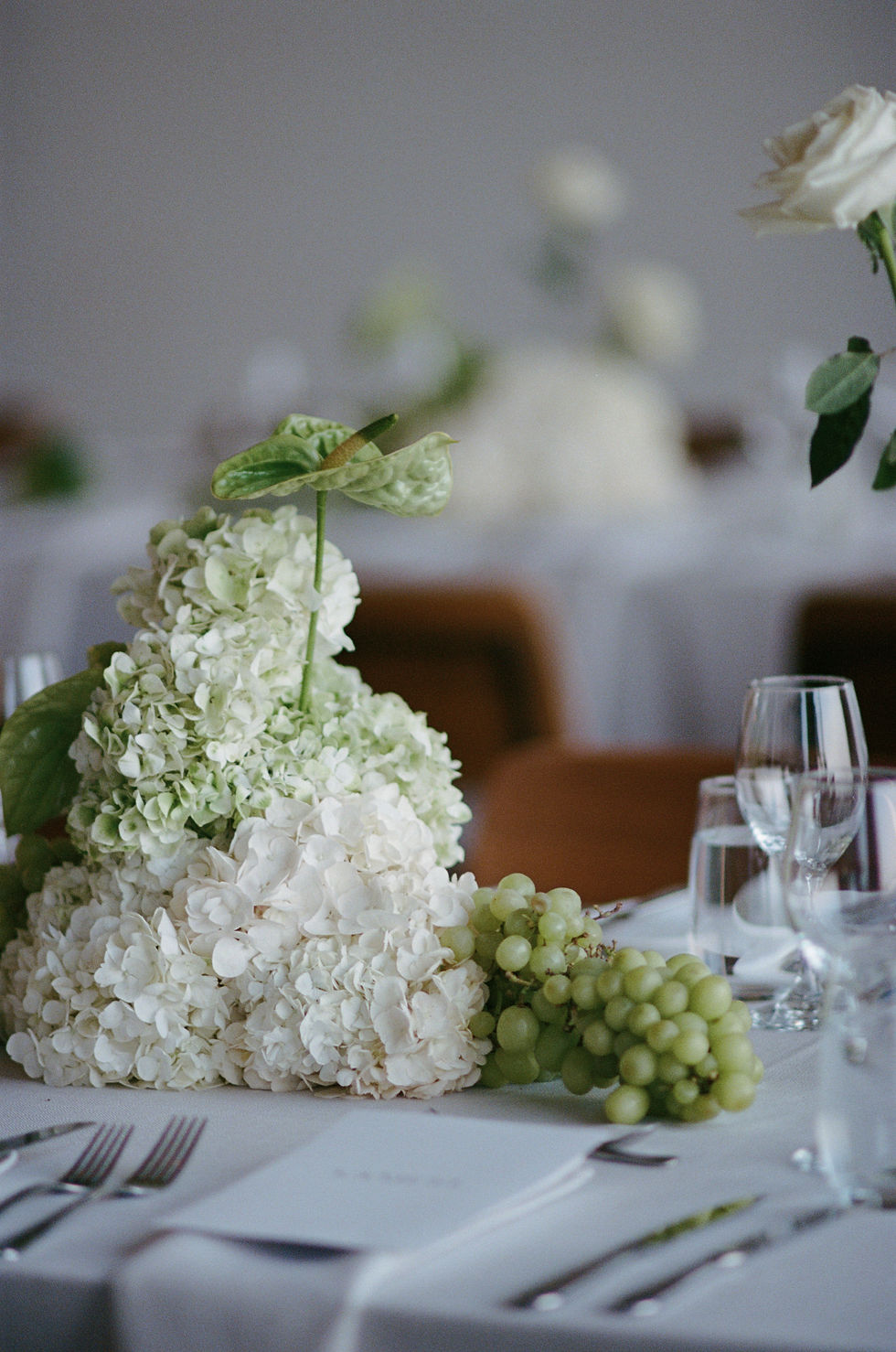 PHOTOGRAPHER | Mandy Wood Studio