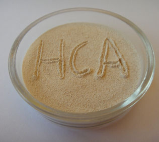 Garcinia Cambogia Extract|60 HCA|Hydroxycitric Acid|New Asia