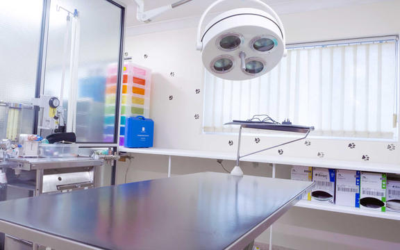 Castle Vets | Your local vets in Farnborough and Farnham