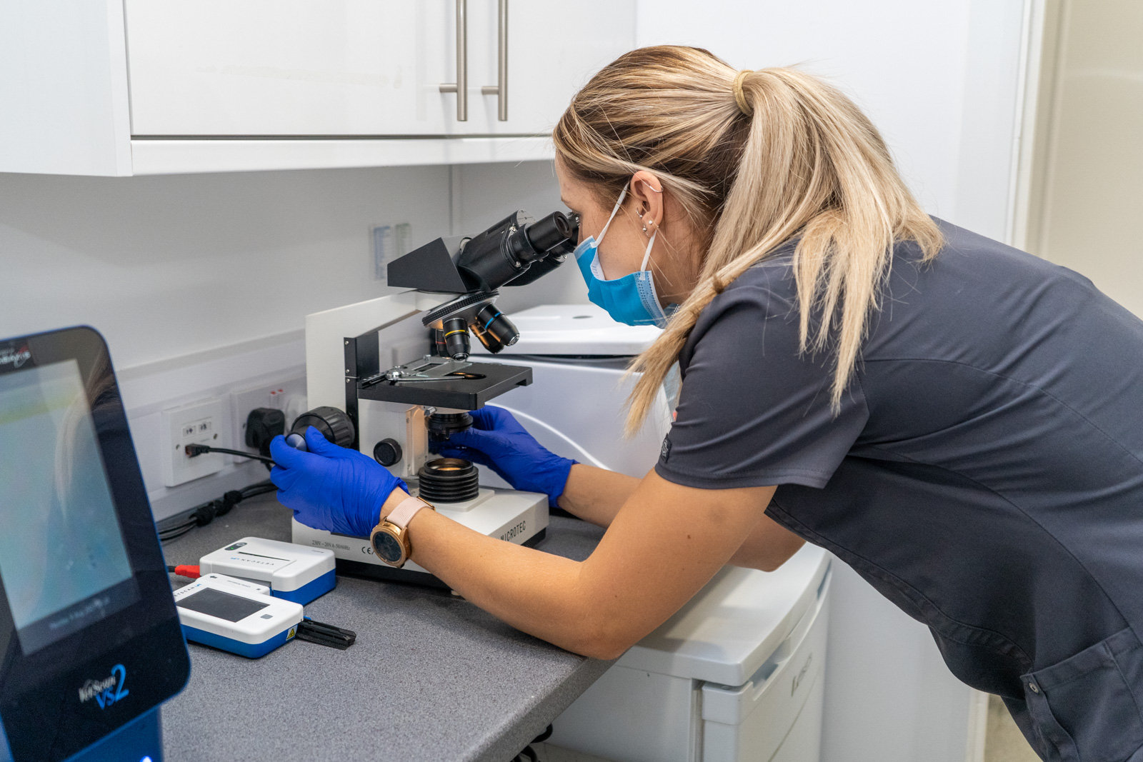 In-house laboratory testing | Haven Veterinary Group
