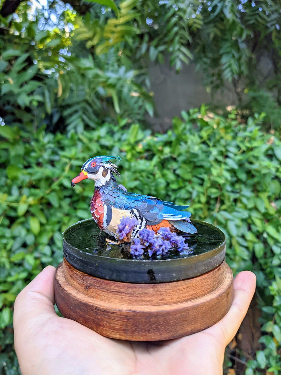 VisualDiscord | Mini Bird Collection