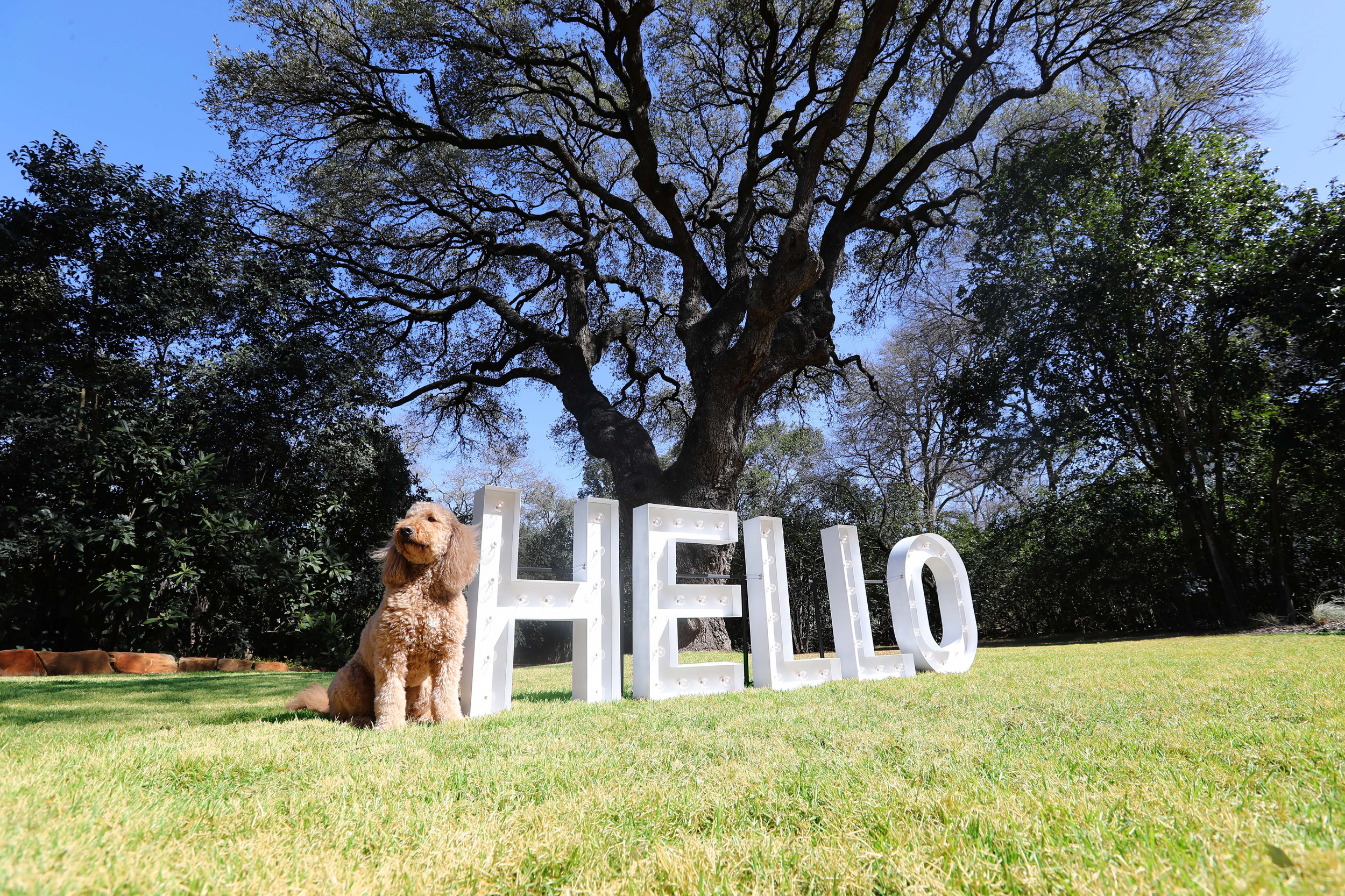 Custom Marquee Letters | Lite Write San Antonio