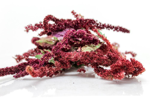 ATACO / quinoa flower | Jireh Gourmet