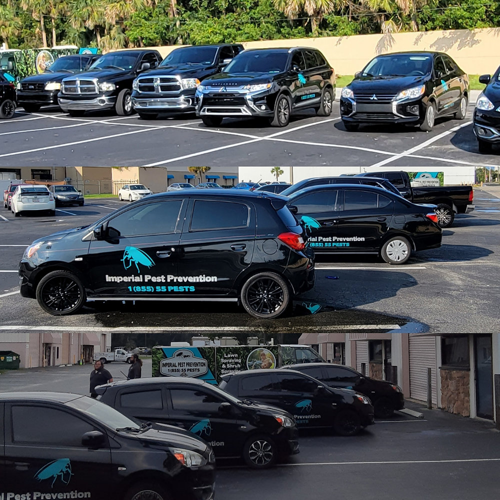 The History of Pest Control: Evolution, Innovation, and Importance