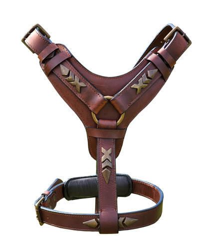 Gladiator Harness | mymadcow