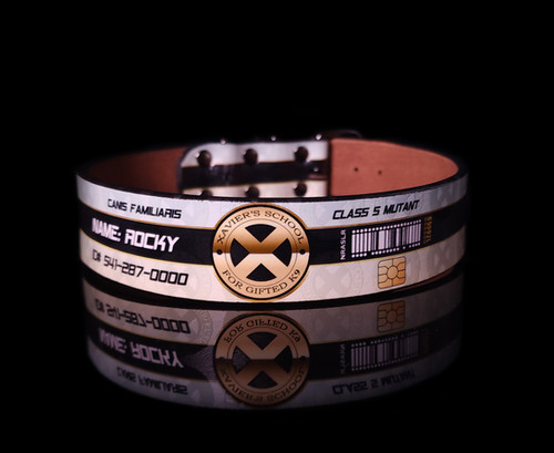 Xavier’s School for Gifted K9 - ID Collar | mymadcow