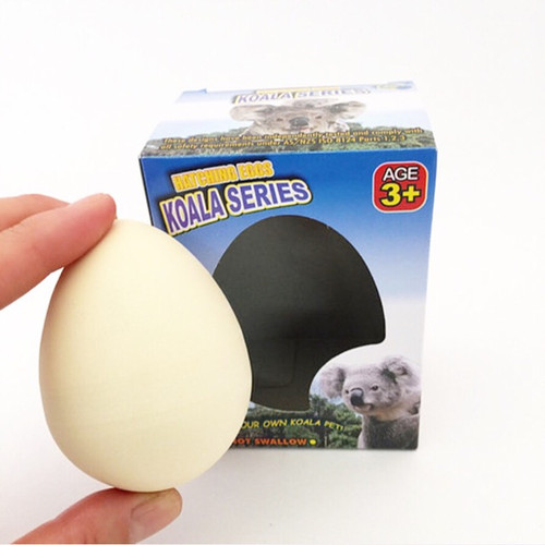 Koala Hatching Egg | mak3gifts