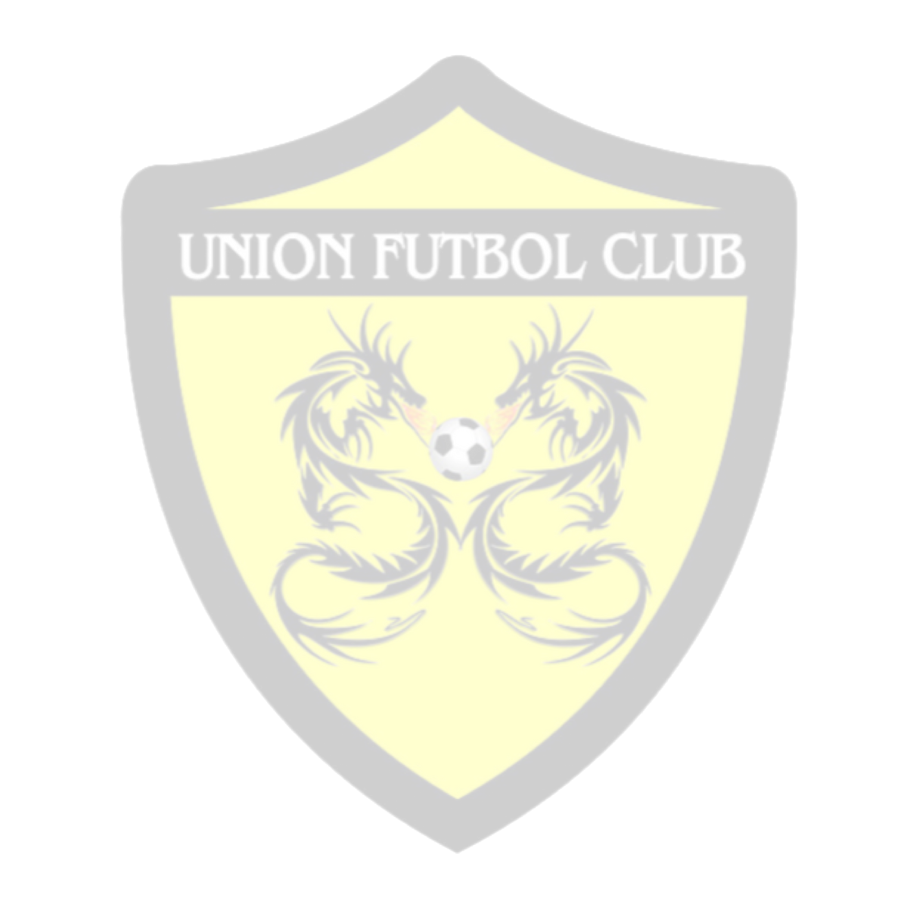 PRO CLUB Union Futbol Club pro-club-union-futbol-club