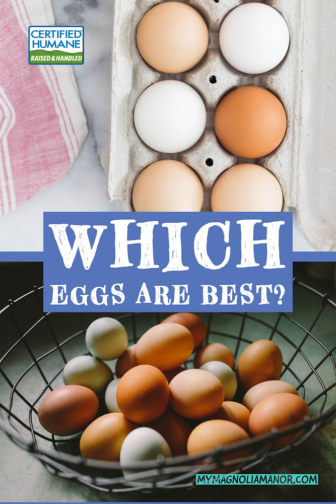 What Color is your Yeg Yolk?