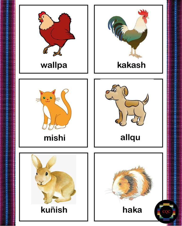 UYWAKUNA - Animales domésticos en quechua