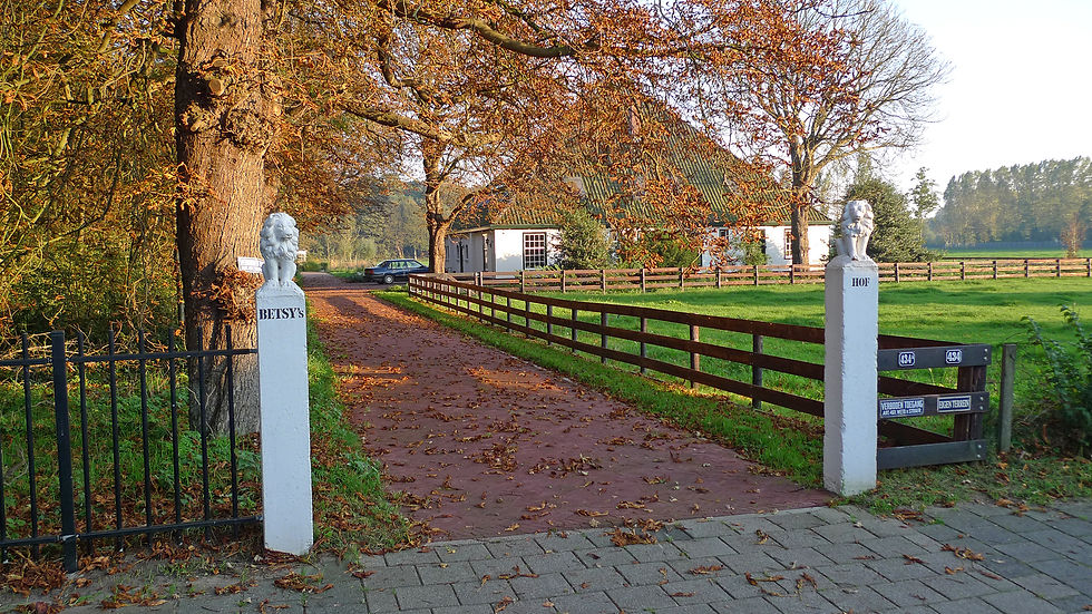 home | Parc Westerhoeve Heiloo