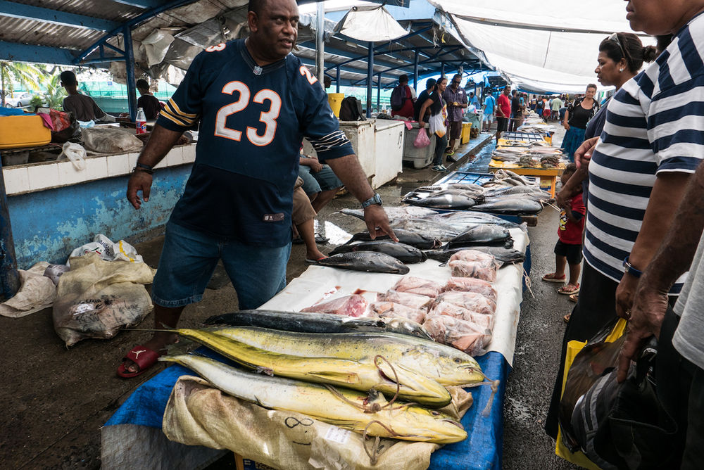 Fiji fishing: the one that got away?