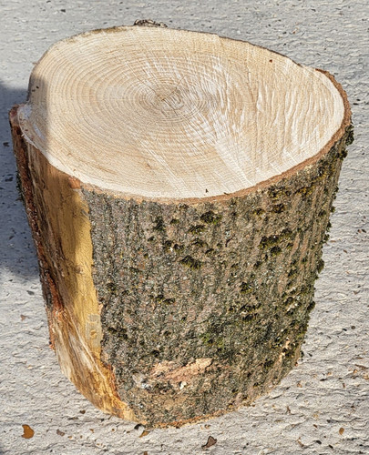 Large 30kg Heavy Duty Hardwood Firewood Chopping Block | Dartford ...