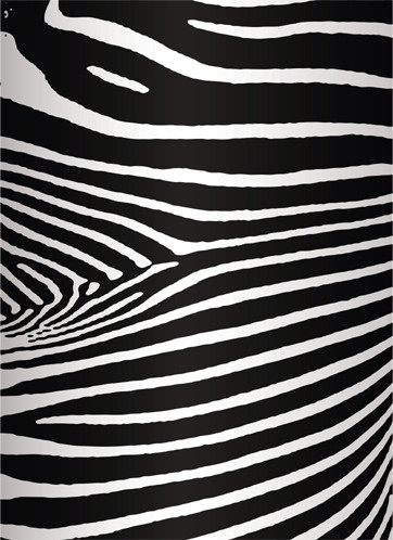 Zebra Skin #1 | Axe Wrap