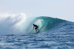 Gallery | aweraisland