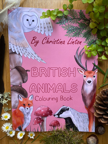 British Animals Colouring Book | Christina Linton Art
