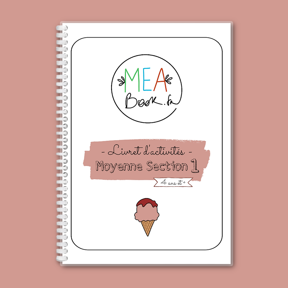 🍨 Moyenne Section #1 | MEA Book