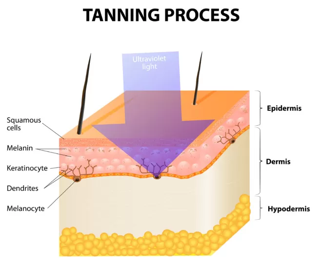 Training | greattanz