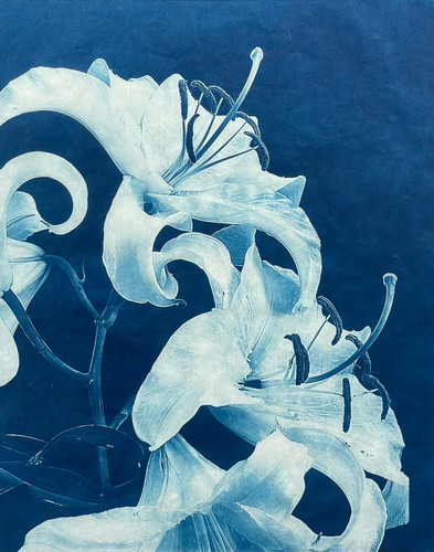 Intertwining Curves | Claudia Hollister