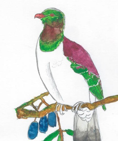 Kereru card +envelope | Lewisbrunk.com